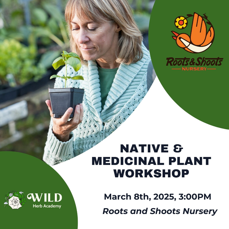 Native & Medicinal Plants Workshop | Roots and Shoots Nursery 1108 Wappoo Rd Charleston, SC ...