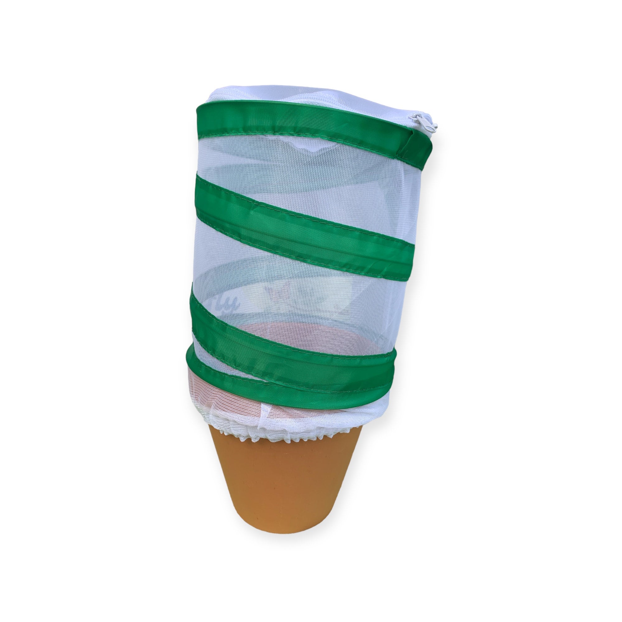 1 Gallon Plant Butterfly Enclosure | Roots and Shoots Nursery 1108 ...