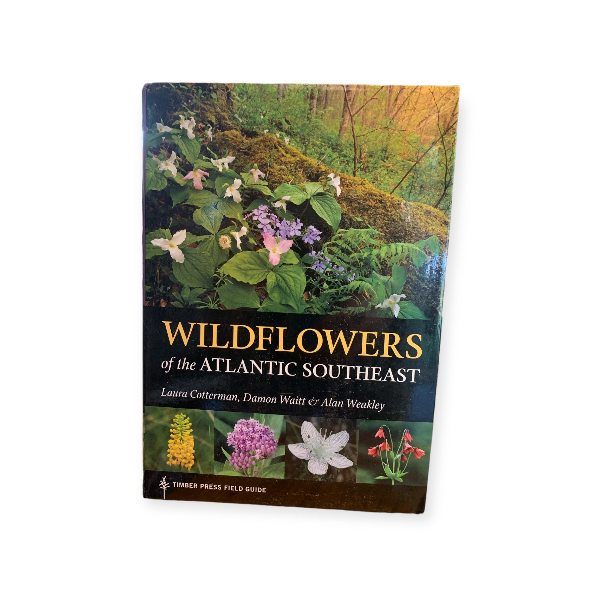 Wildflower of The Atlantic Southeast | Roots and Shoots Nursery 1108 ...